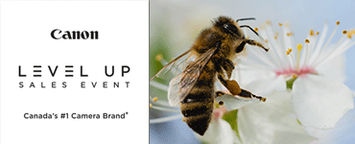 Vistek is Canada's Digital Camera Store, Shop for DSLRs, Digital ...